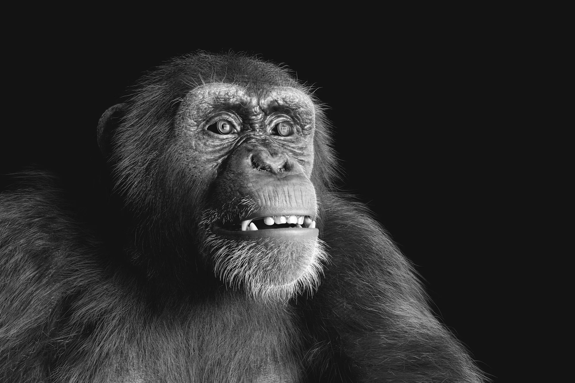 Lessons from Caesar in 'Kingdom of the Planet of the Apes'.